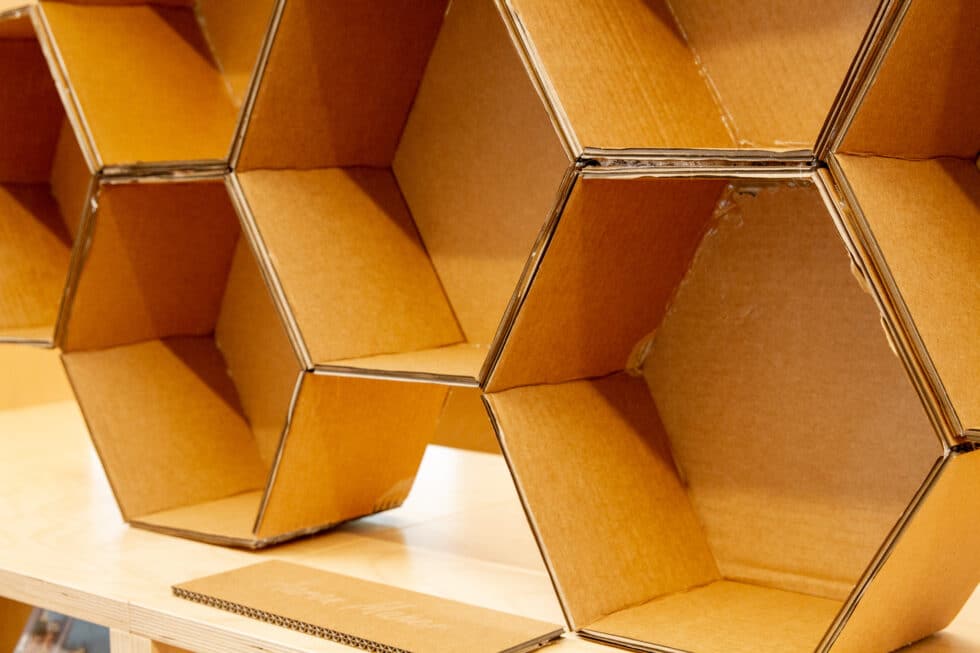 Design & Technology - Northern Beaches Christian School Showcase 2022