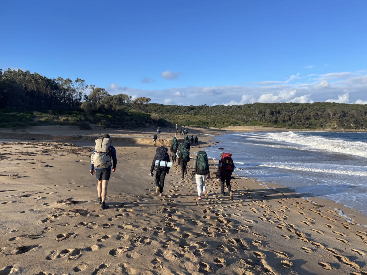 Duke of Ed Bronze - NBCS