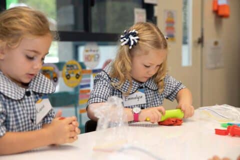 The importance of curiosity in learning - NBCS